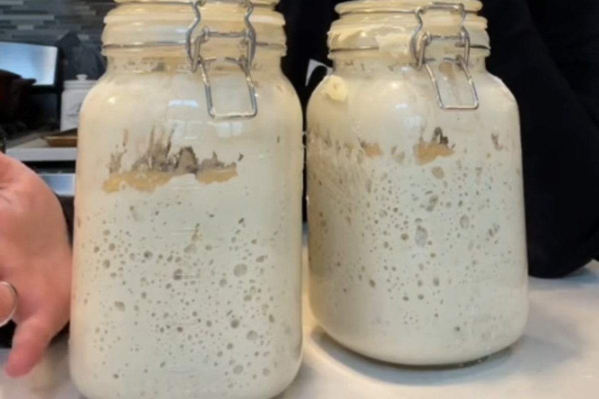 How do I know if my sourdough starter is ok | To Get Recipes